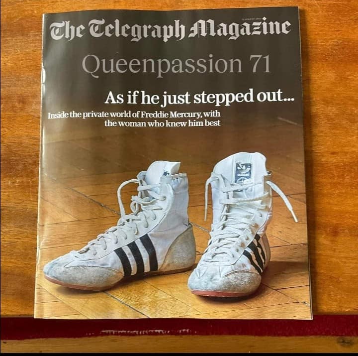 Entrevista de Mary Austin para o The Telegraph – Queen Net